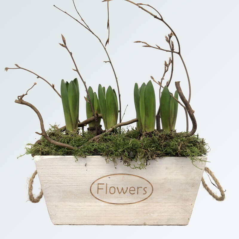 Planted Bulb Designs - Spring